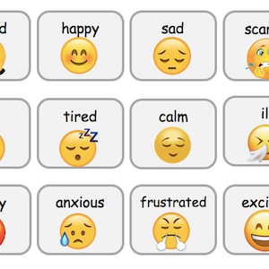 How Do I Feel Today? What Do I Need? Emotions Regulation ...