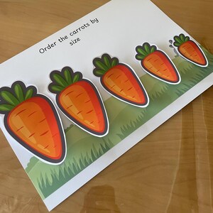 Carrot Size Ordering Printable: Preschool Math Worksheet (PDF Download ...