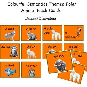 Polar Animal Names Flash Cards for Pre School for Colourful Semantics ...