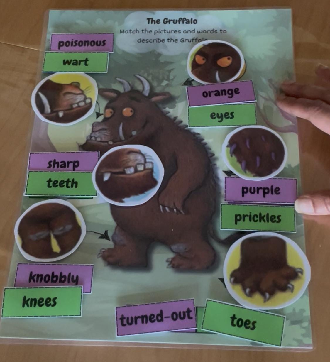 The Gruffalo Preschool Activity Bundle, Sentence Building, Who What ...