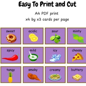 Adjectives Flash Cards for Describing Taste for Montessori for Pre ...