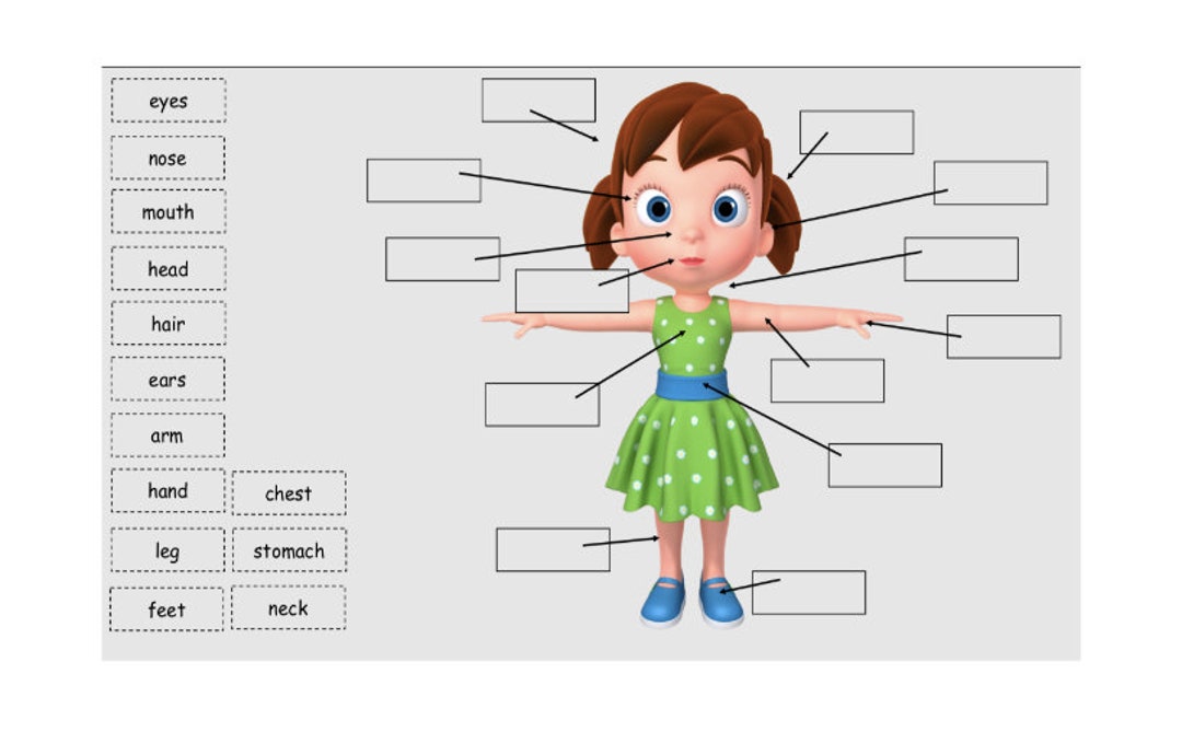 Body Parts Vocabulary Builder: Autism & Speech Delay (download) - Etsy