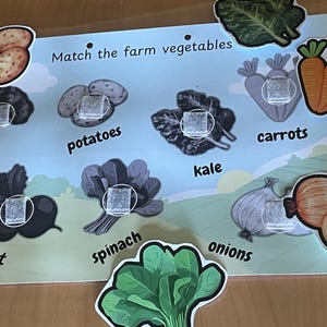 Fruit & Vegetable Matching Game: Preschool Nutrition Lesson (PDF ...