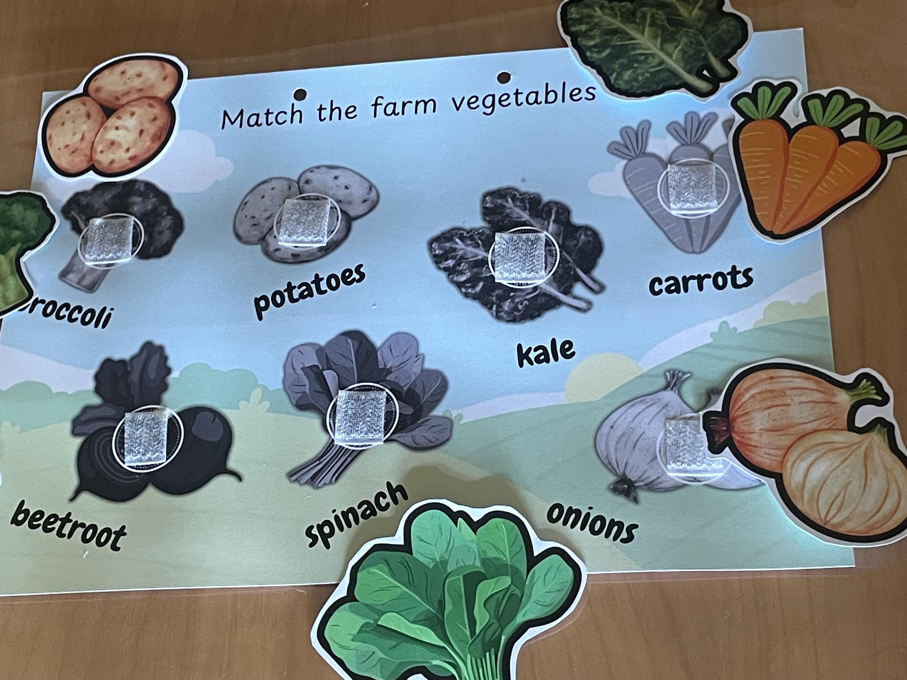 Fruit & Vegetable Matching Game: Preschool Nutrition Lesson (PDF ...