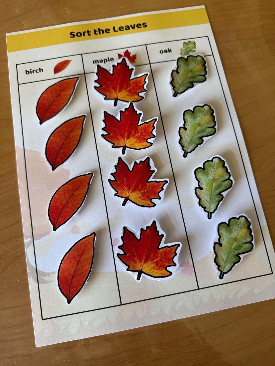 Leaf Shape Sorting Activity | Preschool Fall Nature Game | Printable ...