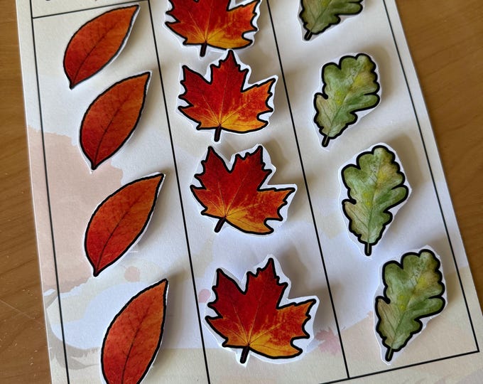 Leaf Shape Sorting Activity | Preschool Fall Nature Game | Printable ...