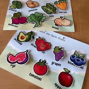 Fruit & Vegetable Matching Game: Preschool Nutrition Lesson (PDF ...