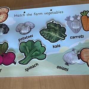 Fruit & Vegetable Matching Game: Preschool Nutrition Lesson (PDF ...