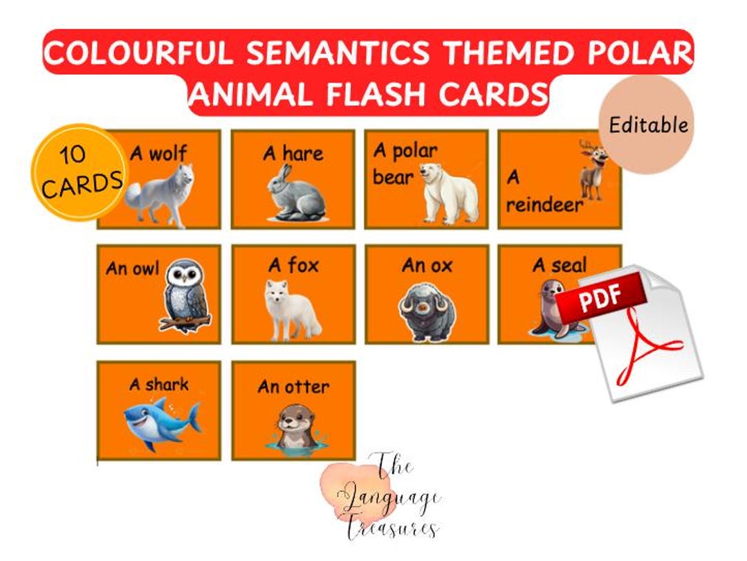 Polar Animal Names Flash Cards for Pre School for Colourful Semantics ...
