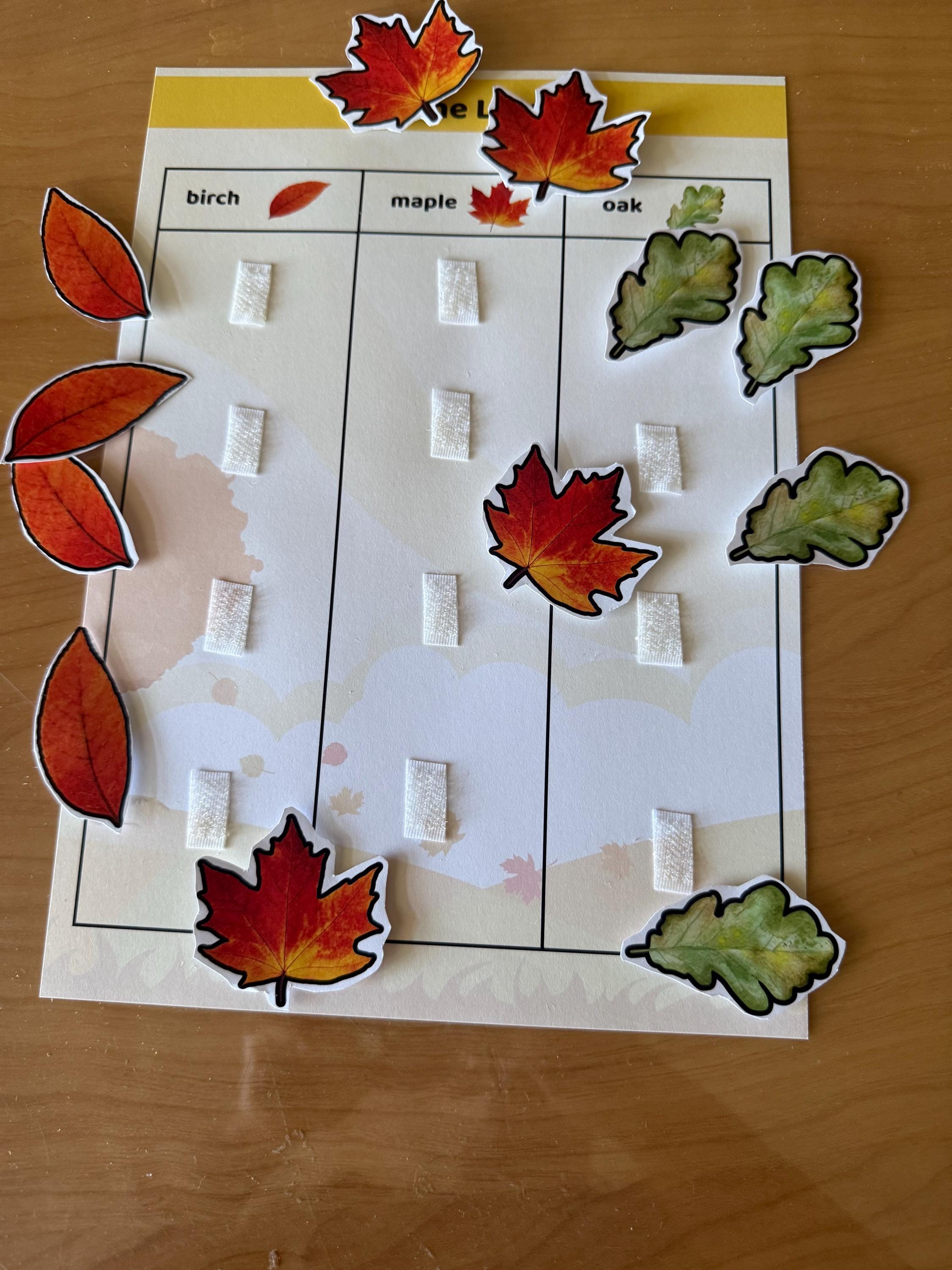 Leaf Shape Preschool Sorting Activity: Montessori Fall Printable (PDF ...