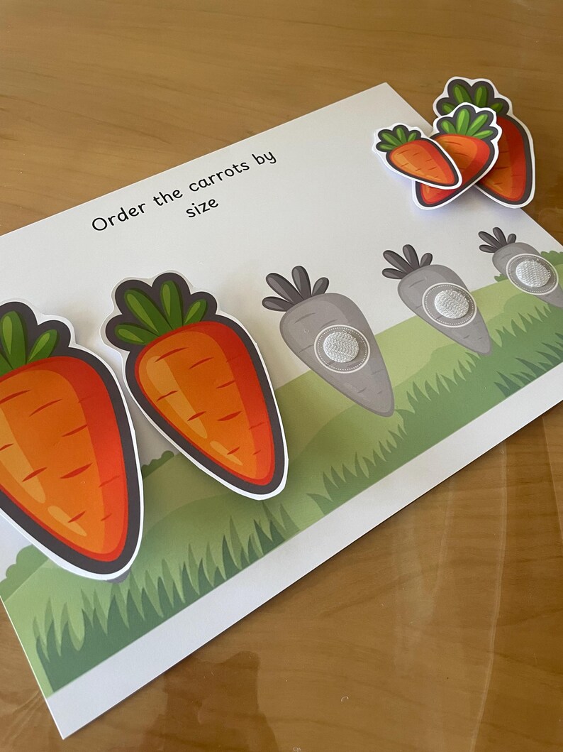 Carrot Size Ordering Printable: Preschool Math Worksheet (PDF Download ...