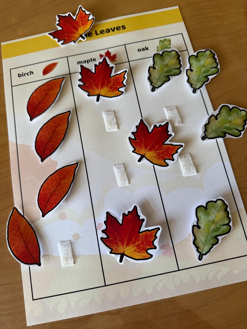 Leaf Shape Sorting Activity | Preschool Fall Nature Game | Printable ...