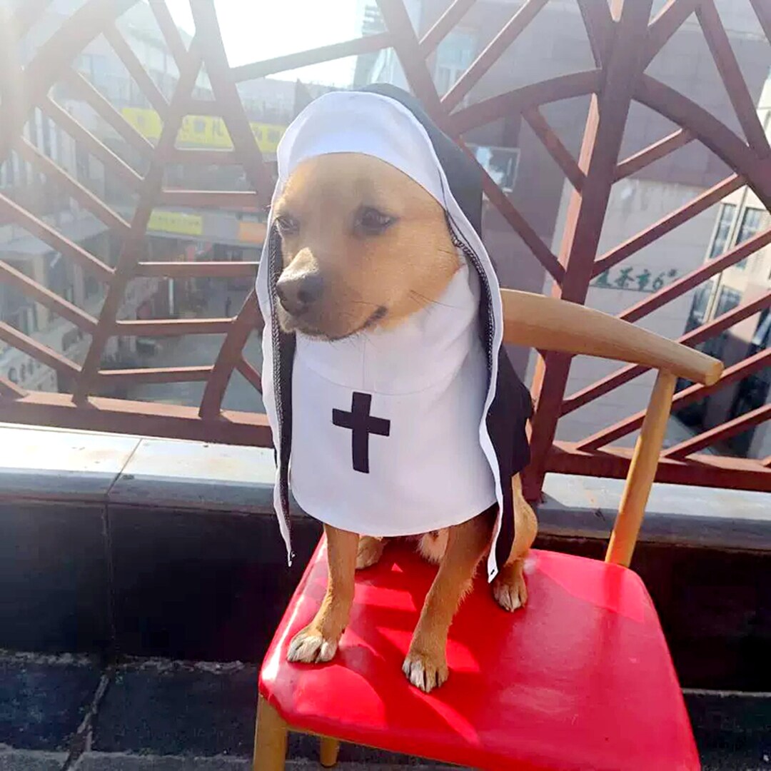 Religious Outfit for Dogs and Cats, Christening Dress, Nun Dog Cat Pet ...