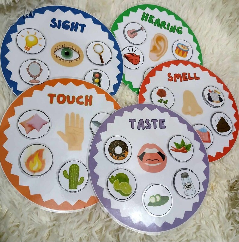 Five Senses Sorting Activity 5 Senses Sorting, Busy Book , Toddler ...