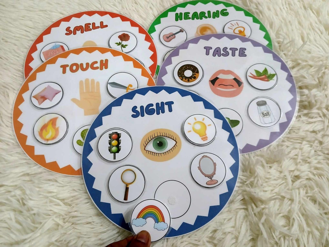Five Senses Sorting Activity – Toddler Busy Book, ESL Printable ...
