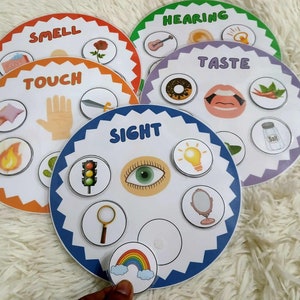 Five Senses Sorting Activity -5 Senses Sorting, Busy Book , Toddler ...