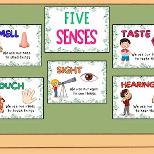 The 5 Senses Day Care Classroom Posters | Pre-k, Kindergarten Classroom ...
