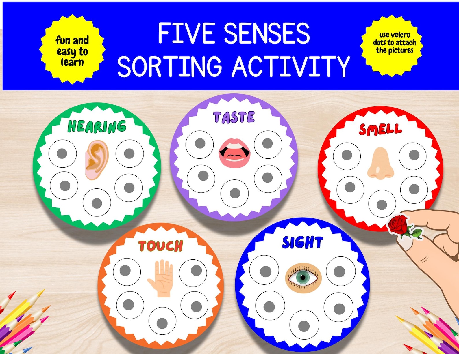Five Senses Sorting Activity -5 Senses Sorting, Busy Book , Toddler ...