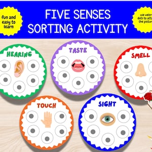 Five Senses Sorting Activity -5 Senses Sorting, Busy Book , Toddler ...