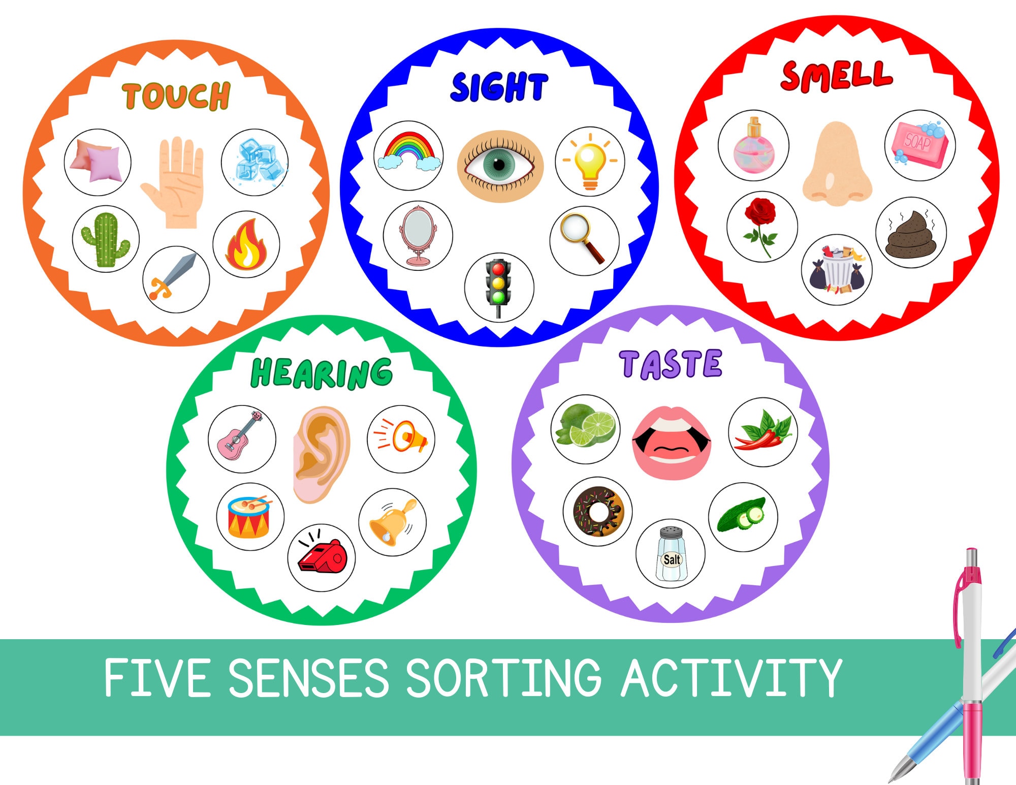 Five Senses Sorting Activity 5 Senses Sorting, Busy Book , Toddler ...