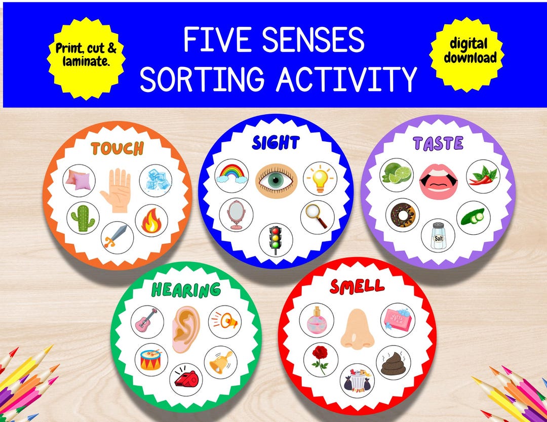 Five Senses Sorting Activity -5 Senses Sorting, Busy Book , Toddler ...