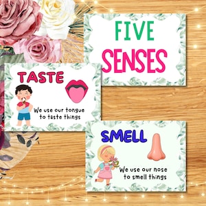 The 5 Senses Day Care Classroom Posters | Pre-k, Kindergarten Classroom ...