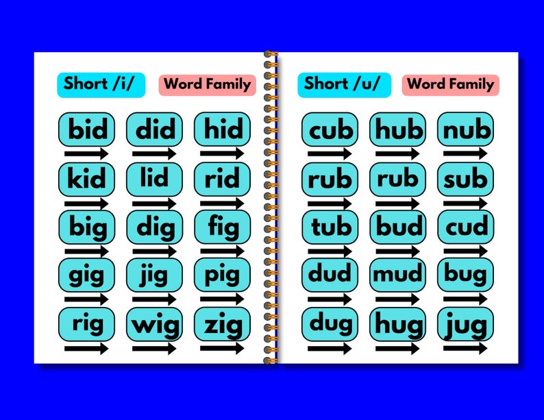 CVC Phonics Reading Book, Homeschool Activity (PDF, PNG) - Etsy