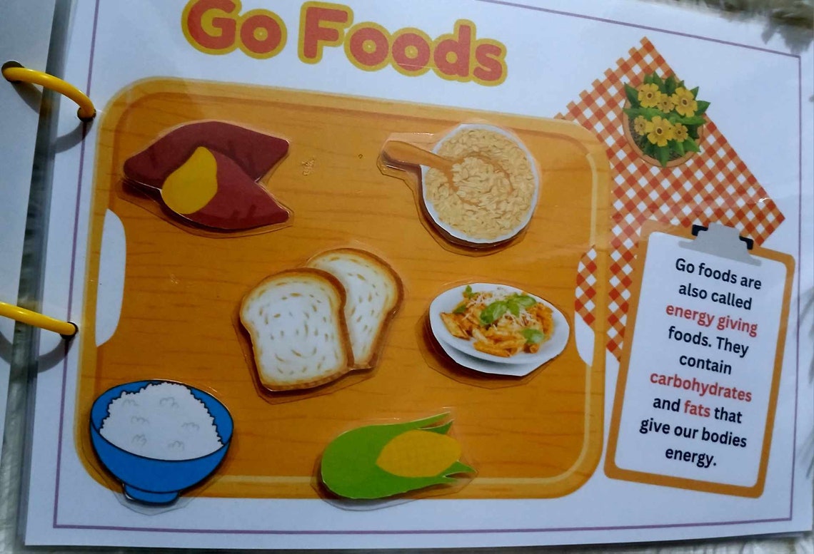 Food Groups Sorting Printable Montessori Science Cards- Kids Nutrition ...