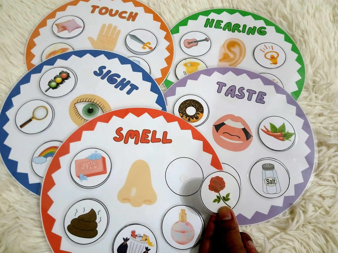 Five Senses Sorting Activity – Toddler Busy Book, ESL Printable ...