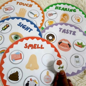 Five Senses Sorting Activity -5 Senses Sorting, Busy Book , Toddler ...