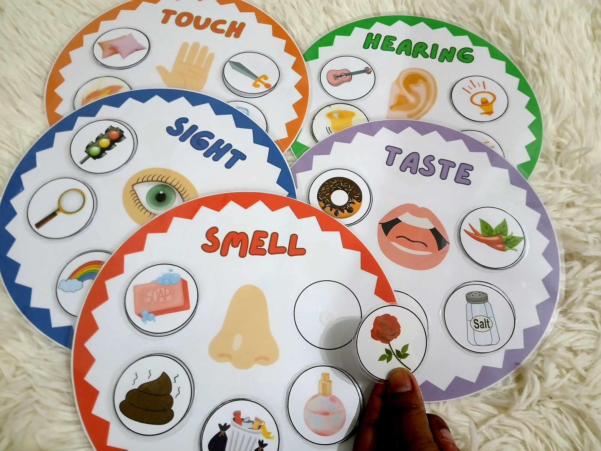 Five Senses Sorting Activity -5 Senses Sorting, Busy Book , Toddler ...