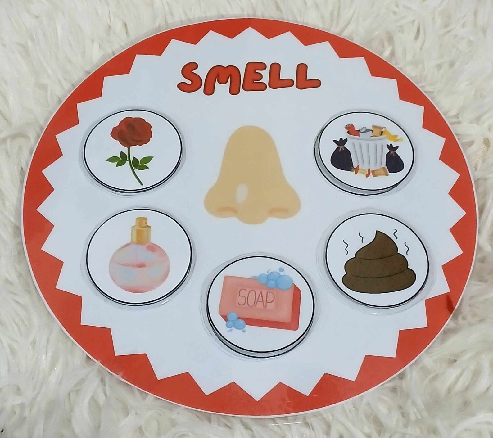 Five Senses Sorting Activity -5 Senses Sorting, Busy Book , Toddler ...