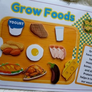 Food Groups Sorting Printable Montessori Science Cards- Kids Nutrition ...