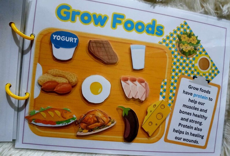 Food Groups Sorting Printable Montessori Science Cards- Kids Nutrition ...