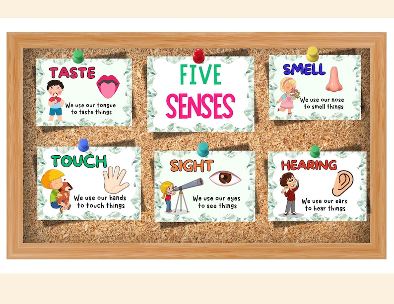The 5 Senses Day Care Classroom Posters | Pre-k, Kindergarten Classroom ...