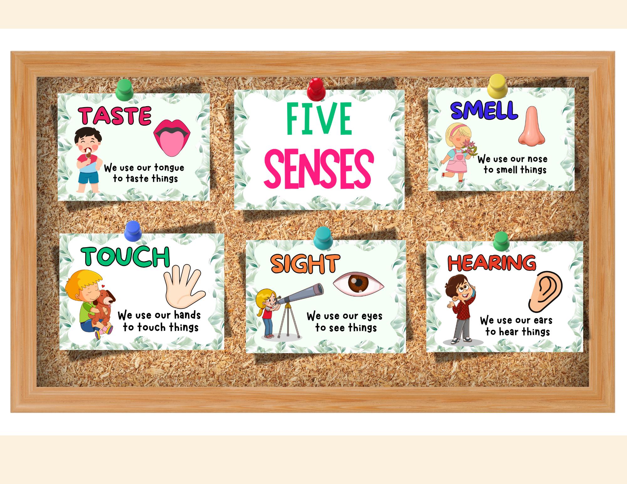 The 5 Senses Day Care Classroom Posters | Pre-k, Kindergarten Classroom ...