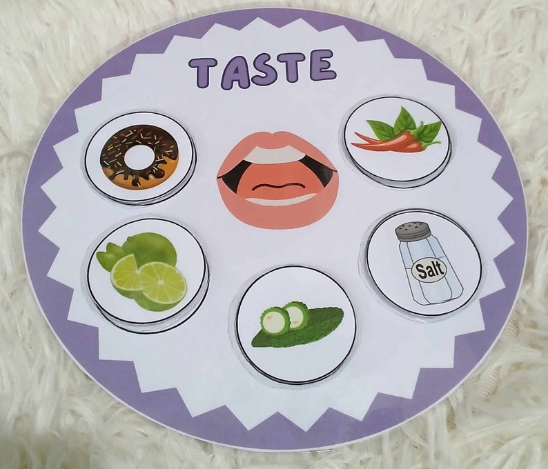 Five Senses Sorting Activity -5 Senses Sorting, Busy Book , Toddler ...