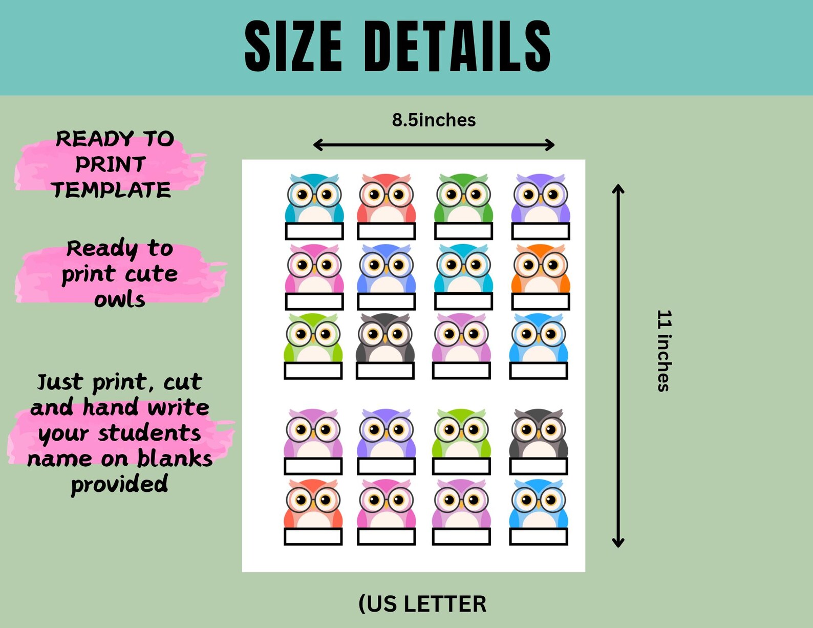 Owl Attendance Chart | Printable Classroom Bulletin Board (digital ...