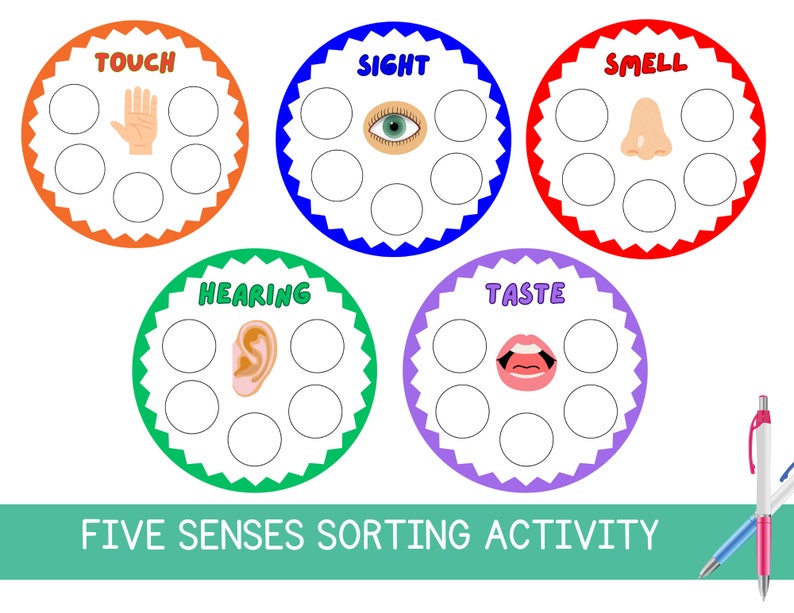 Five Senses Sorting Activity 5 Senses Sorting, Busy Book , Toddler ...