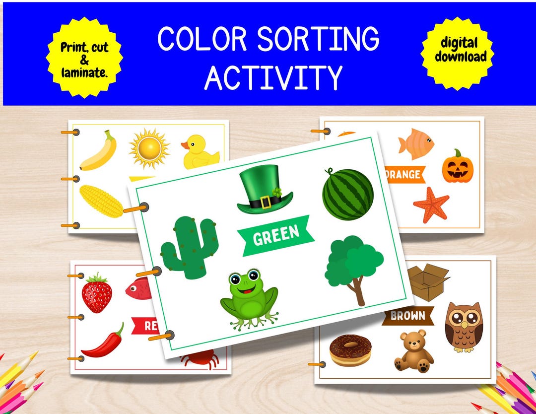 Color Matching Activity, Busy Book for Kids, Shadow Matching Sorting ...