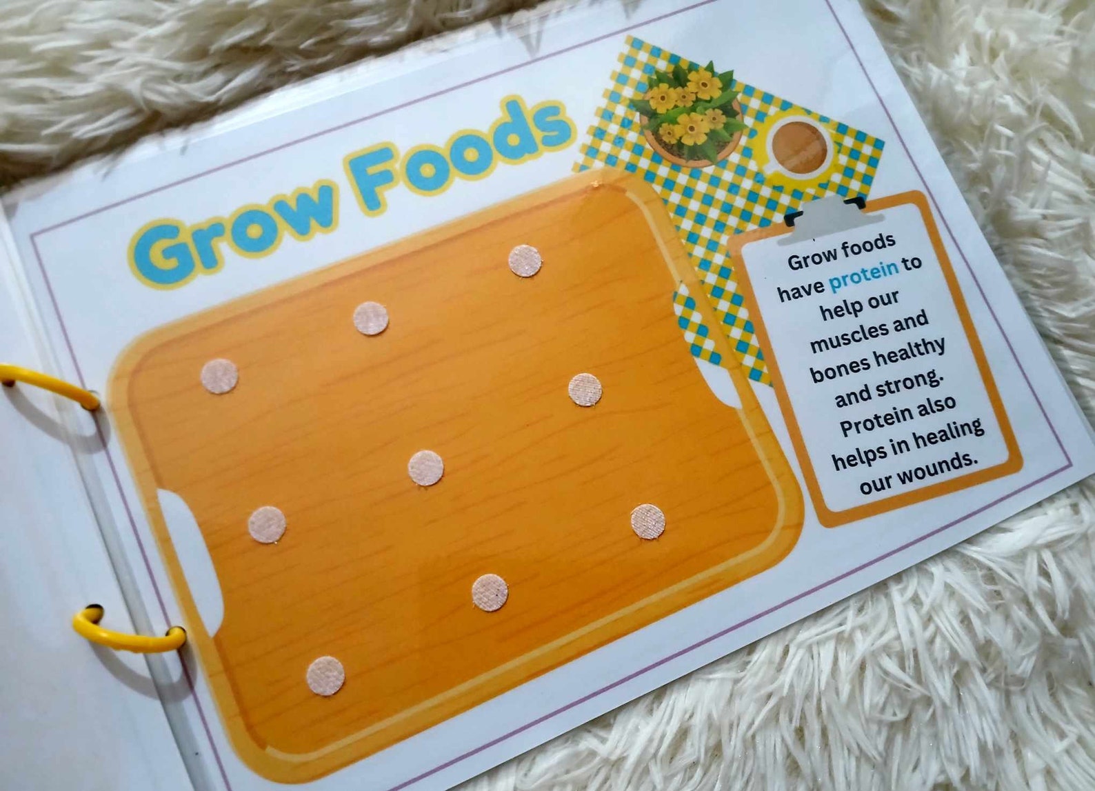 Food Groups Sorting Printable Montessori Science Cards- Kids Nutrition ...
