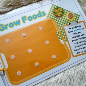 Food Groups Sorting Printable Montessori Science Cards- Kids Nutrition ...