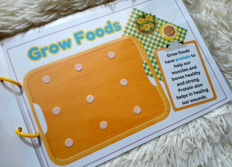Food Groups Sorting Printable Montessori Science Cards- Kids Nutrition ...