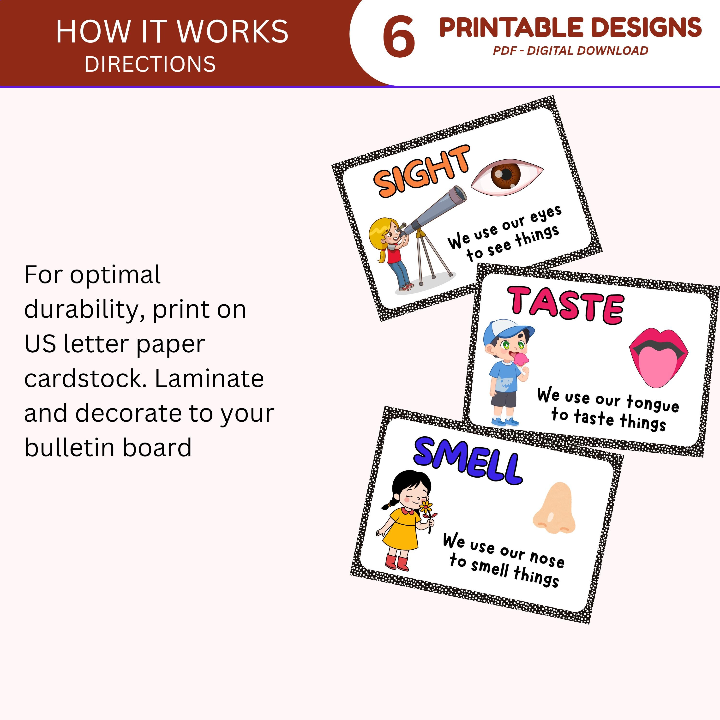 Five Senses Educational Posters, Preschool Kindergarten Classroom Decor ...
