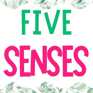 The 5 Senses Day Care Classroom Posters | Pre-k, Kindergarten Classroom ...