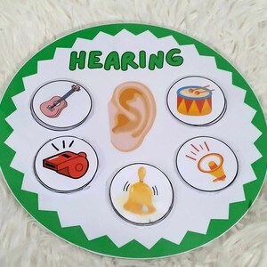 Five Senses Sorting Activity -5 Senses Sorting, Busy Book , Toddler ...