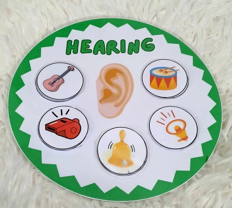 Five Senses Sorting Activity -5 Senses Sorting, Busy Book , Toddler ...