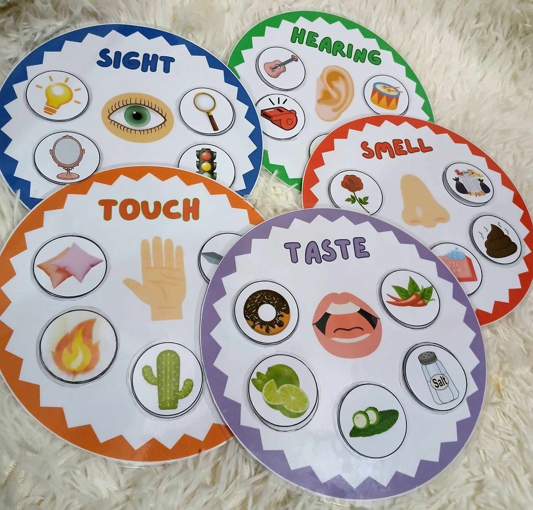 Five Senses Sorting Activity 5 Senses Sorting, Busy Book , Toddler ...