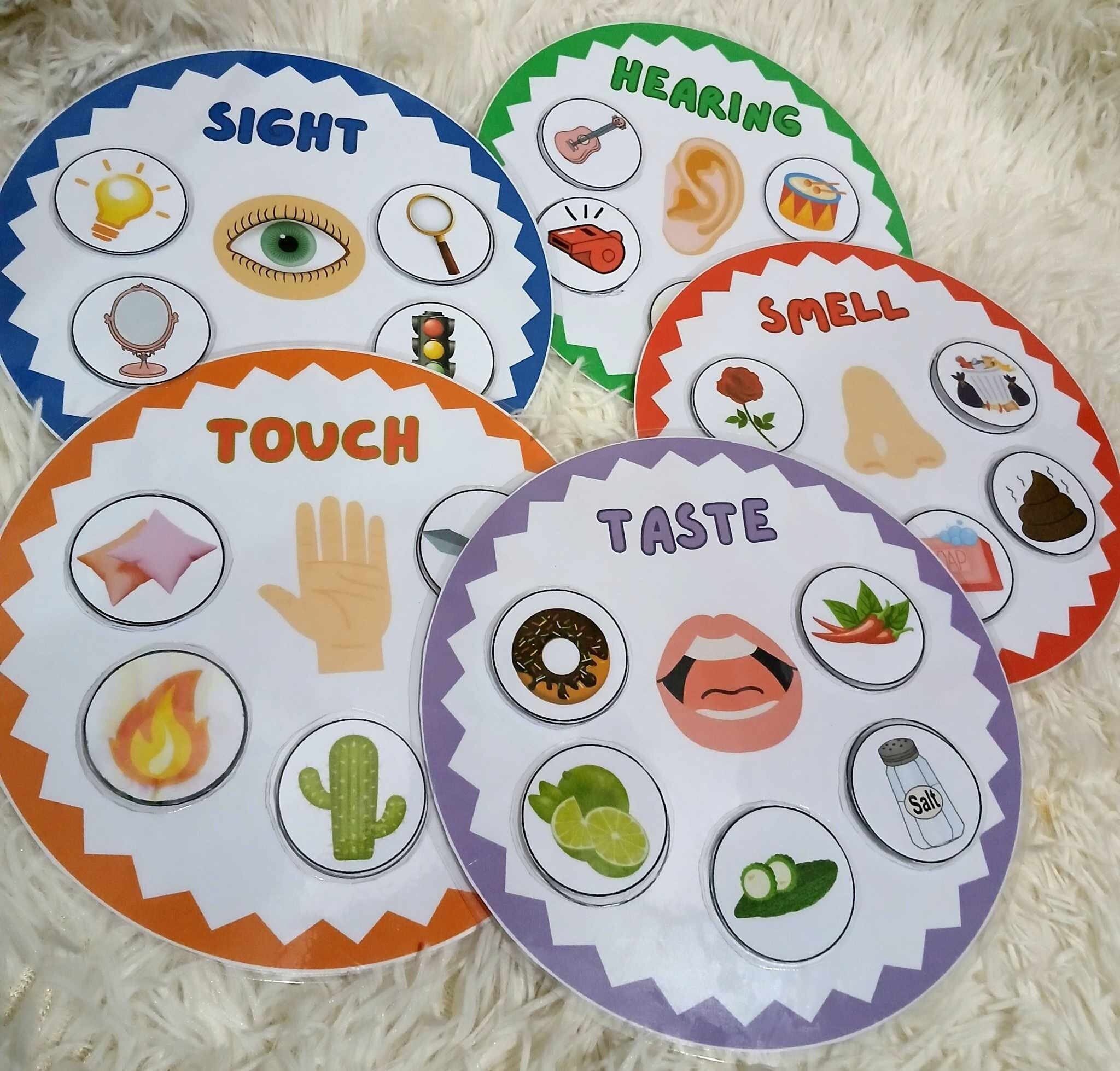 Five Senses Sorting Activity 5 Senses Sorting, Busy Book , Toddler ...
