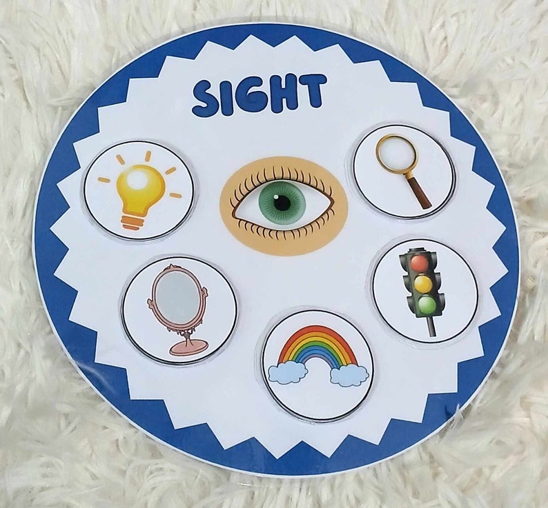 Five Senses Sorting Activity -5 Senses Sorting, Busy Book , Toddler ...